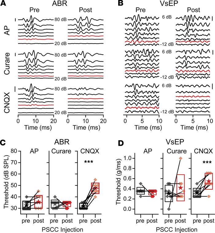 JCI Insight - Semicircular canal drug delivery safely targets the inner ...