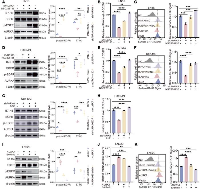 JCI Insight - The AURKA inhibitor alters the immune microenvironment ...