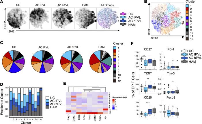 JCI Insight - HTLV-1 induces an inflammatory CD4+CD8+ T cell population ...