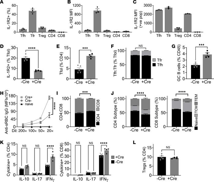 JCI Insight - Loss of T follicular regulatory cell–derived IL-1R2 ...