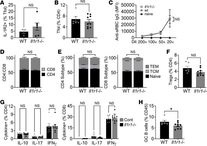 JCI Insight - Loss of T follicular regulatory cell–derived IL-1R2 ...