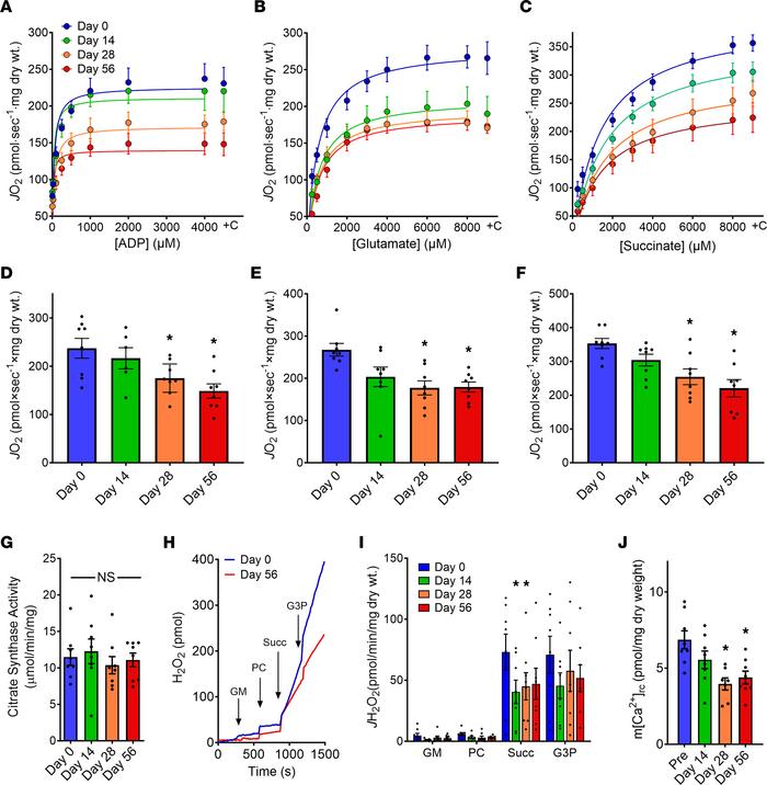 JCI Insight - High-dose atorvastatin therapy progressively decreases ...