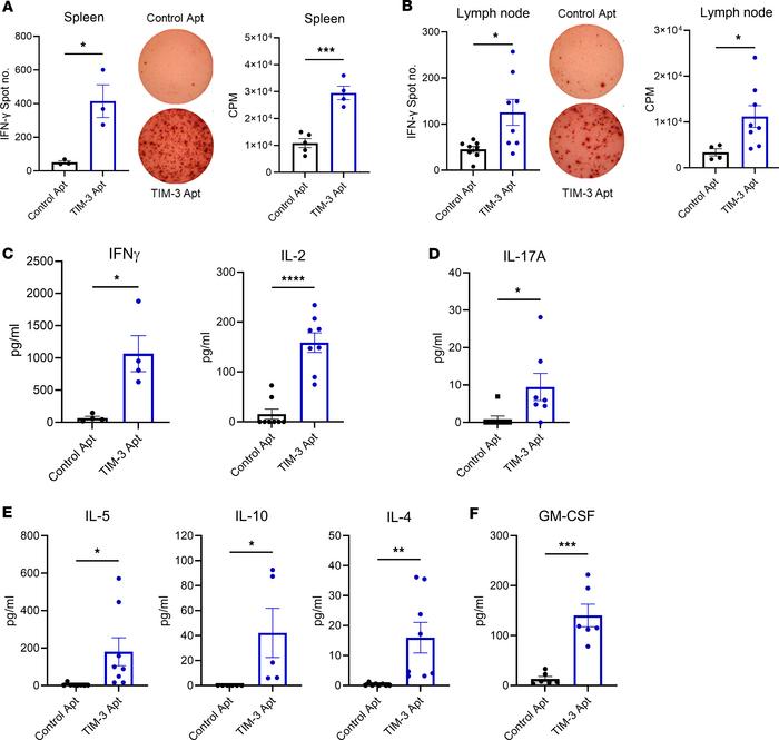 JCI Insight - Combination of locoregional radiotherapy with a TIM-3 ...