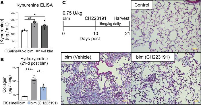 JCI Insight - CD103+ dendritic cell–fibroblast crosstalk via TLR9, TDO2 ...