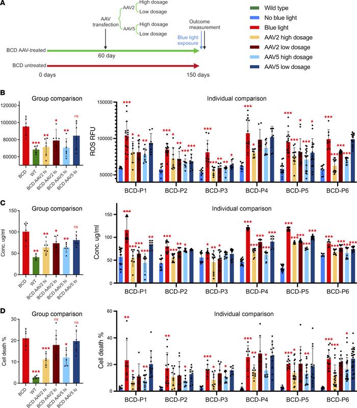 JCI Insight - Evaluating precision medicine approaches for gene therapy ...