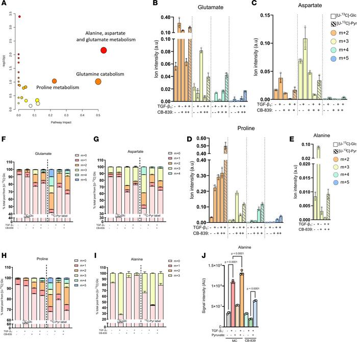 JCI Insight - Pyruvate metabolism dictates fibroblast sensitivity to ...