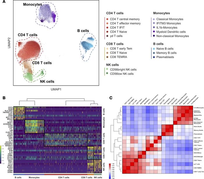 Jci Insight Single Cell Rna Seq Analysis Reveals Cell Subsets And Gene Signatures Associated