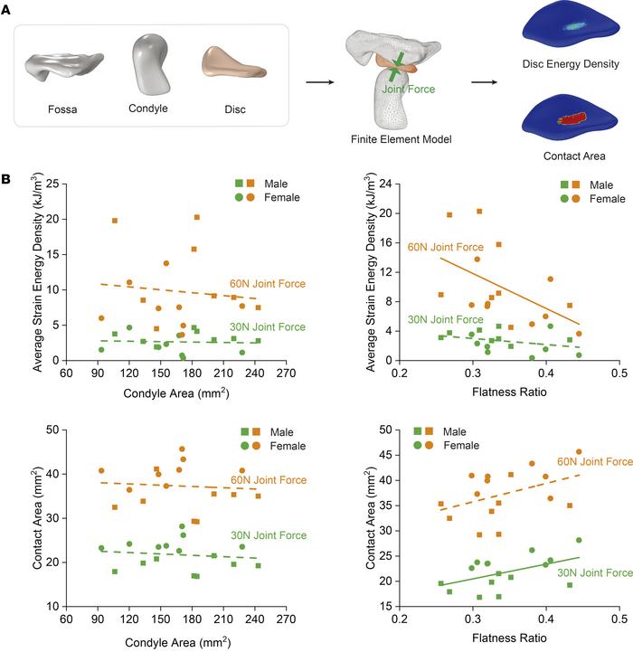 JCI Insight - Explainable deep learning and biomechanical modeling for ...
