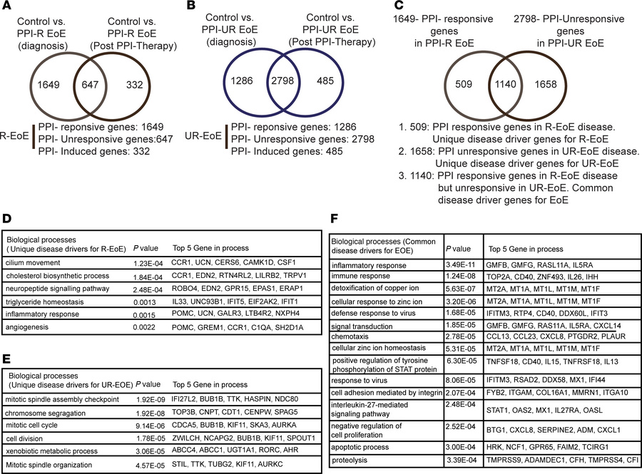 JCI Insight - Unique epithelial proliferative transcriptomic signature ...