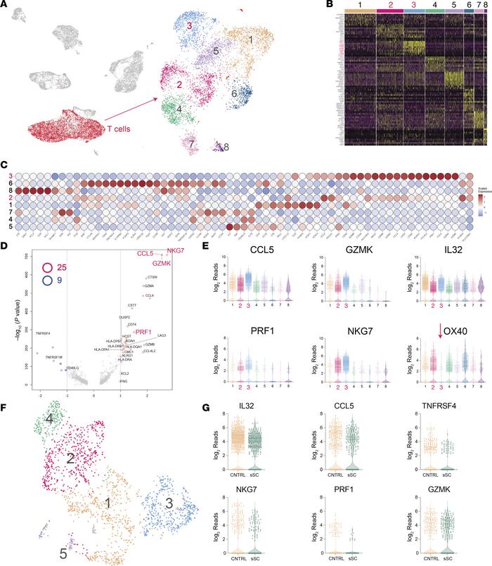 JCI Insight - SPP1hi macrophages, NKG7 T cells, CCL5hi fibroblasts, and ...