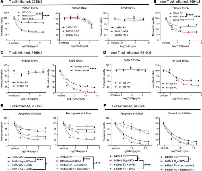 JCI Insight - N-glycosylation by Mgat5 imposes a targetable constraint ...