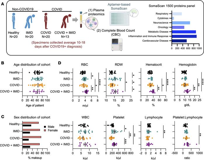 JCI Insight - SARS-CoV-2 ORF8 drives osteoclastogenesis in preexisting ...