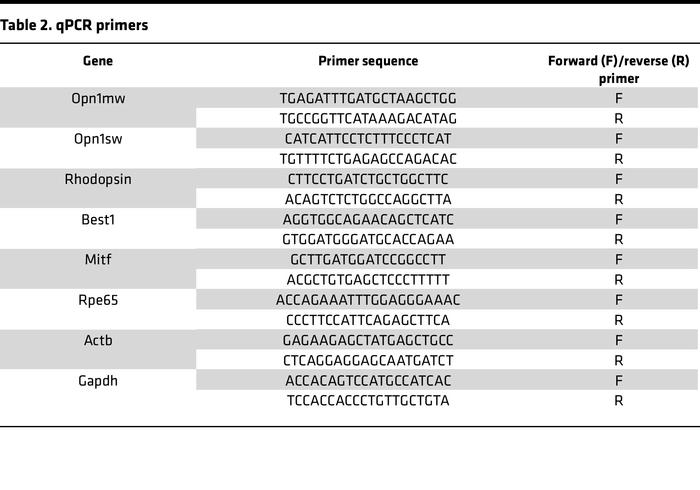 JCI Insight - Ablation of Htra1 leads to sub-RPE deposits and ...