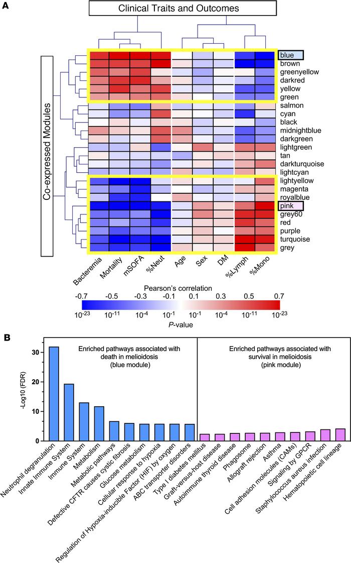 JCI Insight - Dysregulated immunologic landscape of the early host ...