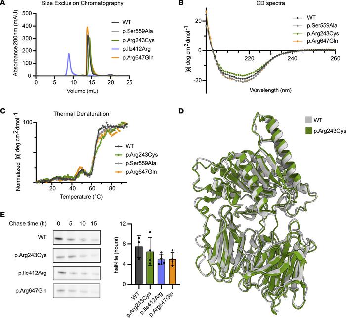 JCI Insight - Missense variants in CMS22 patients reveal that PREPL has ...