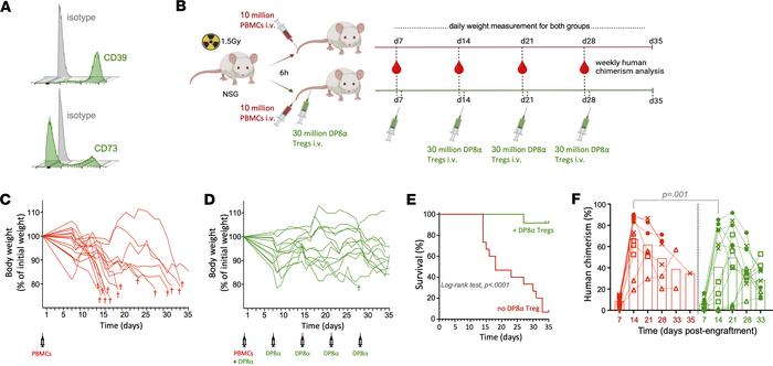 JCI Insight - Human gut microbiota–reactive DP8α Tregs prevent acute ...