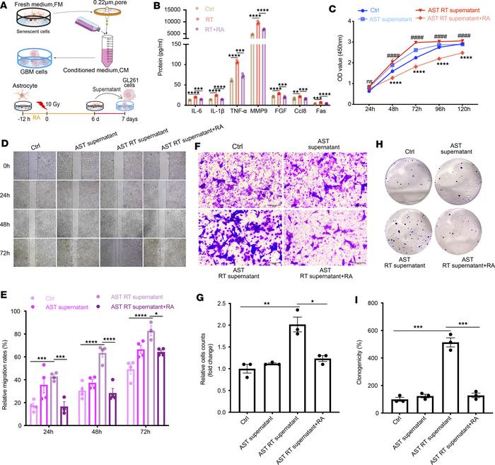 JCI Insight - All-trans retinoic acid inhibits glioblastoma progression ...