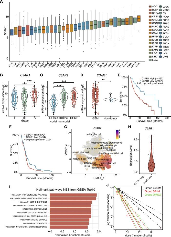 JCI Insight - Hypoxia-induced complement component 3 promotes ...