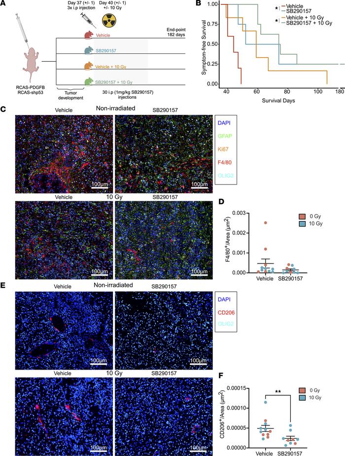 JCI Insight - Hypoxia-induced complement component 3 promotes ...