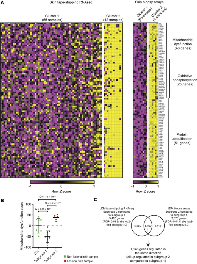 JCI Insight - Tape strip expression profiling of juvenile ...