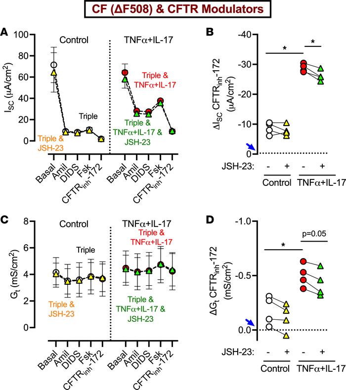 JCI Insight - Epithelial responses to CFTR modulators are improved by ...