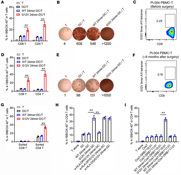 JCI Insight - Identification and validation of a T cell receptor ...