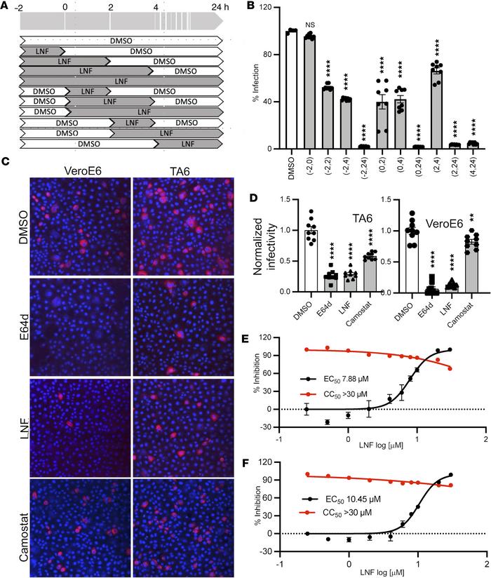 JCI Insight - Repurposing of lonafarnib as a treatment for SARS-CoV-2 ...
