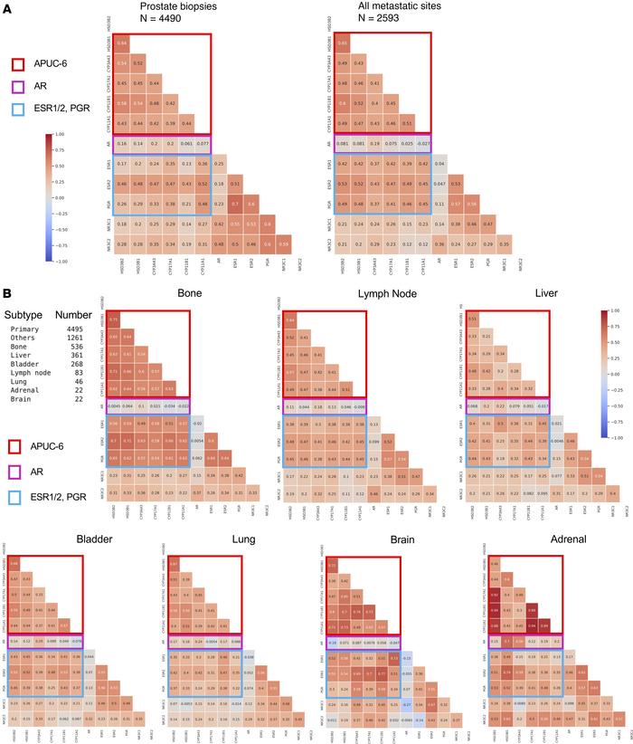 JCI Insight - Androgen production, uptake, and conversion (APUC) genes ...