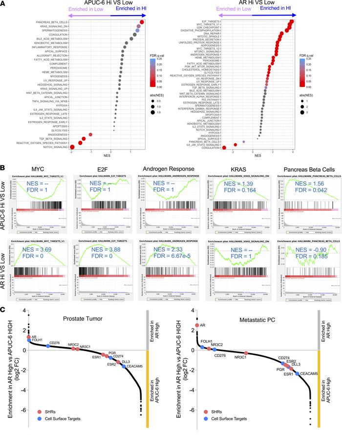 JCI Insight - Androgen production, uptake, and conversion (APUC) genes ...