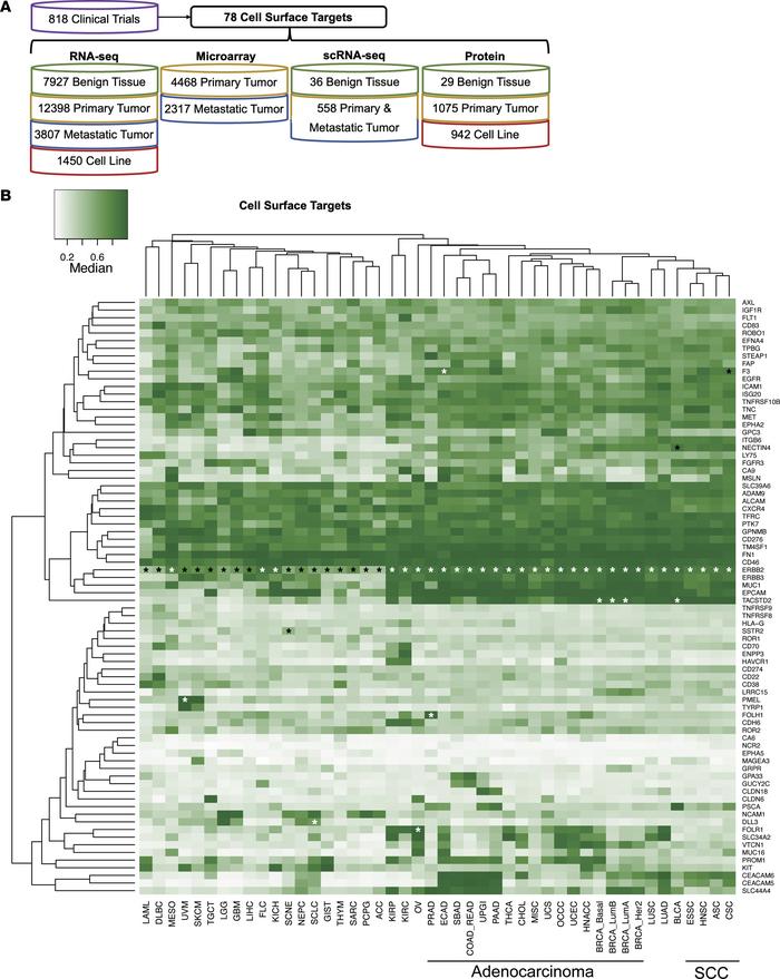 JCI Insight - Clinical cell-surface targets in metastatic and primary ...