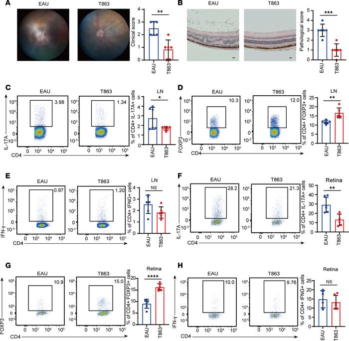 JCI Insight - Lipid metabolism analysis reveals that DGAT1 regulates ...
