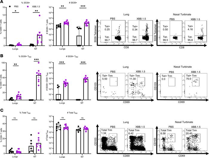 JCI Insight - Tissue-resident memory T cells contribute to protection ...