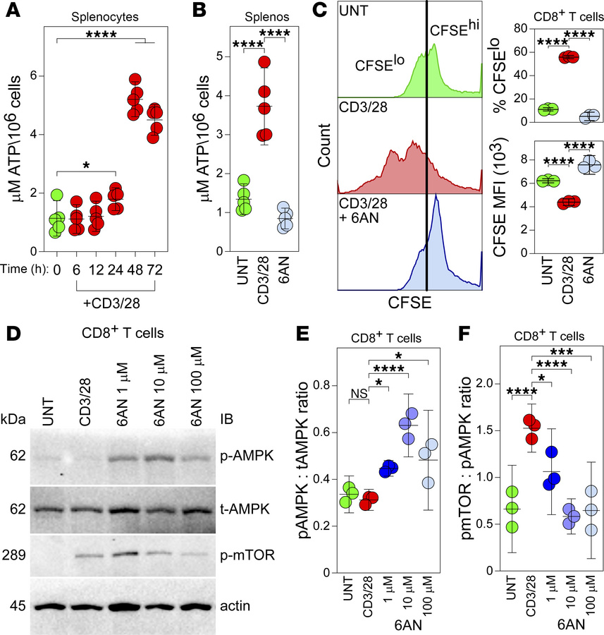 JCI Insight - Pentose phosphate pathway inhibition metabolically ...