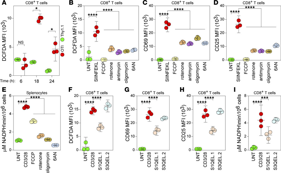 JCI Insight - Pentose phosphate pathway inhibition metabolically ...