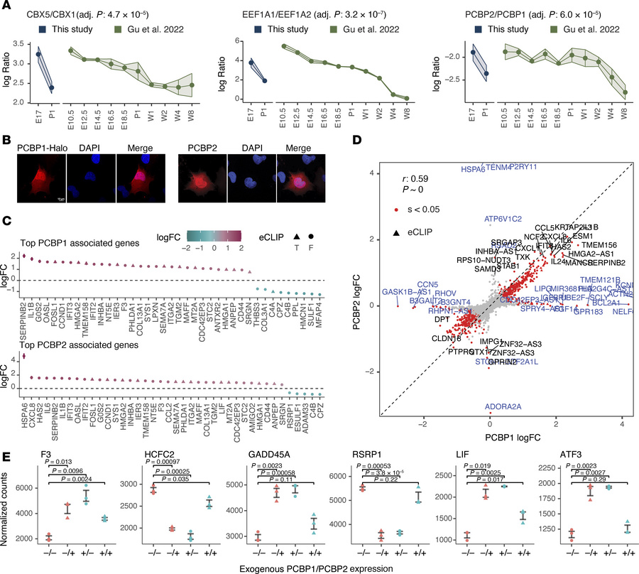 JCI Insight - A ratiometric catalog of protein isoform shifts in the ...