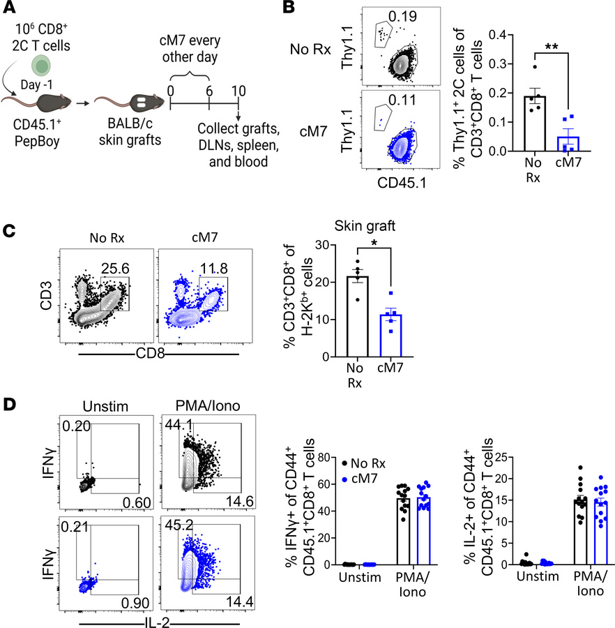 JCI Insight - CD154:CD11b blockade enhances CD8+ T cell differentiation ...