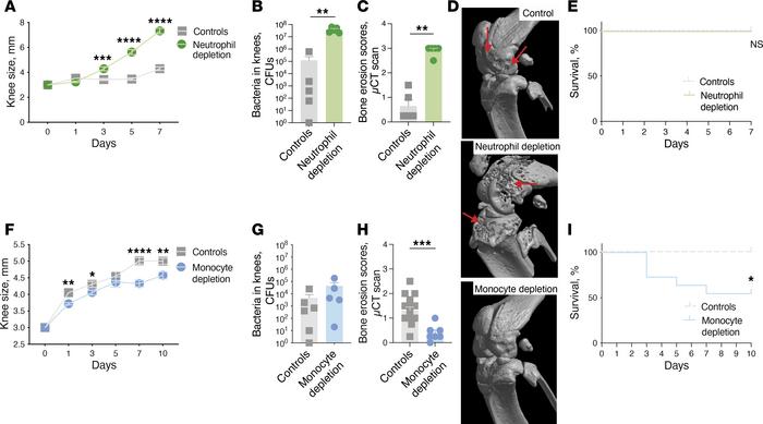 JCI Insight - Combination treatment with anti-RANKL and antibiotics for ...