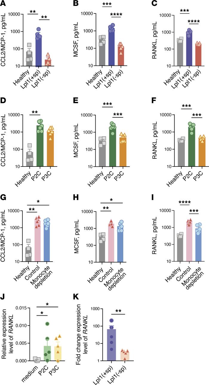 JCI Insight - Combination treatment with anti-RANKL and antibiotics for ...