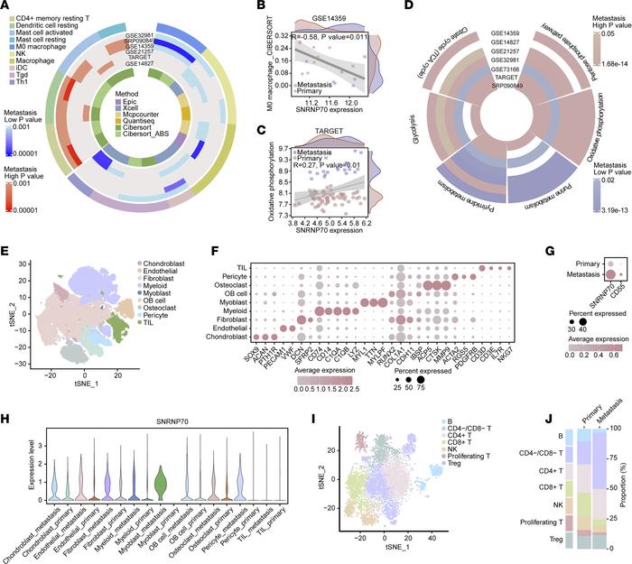 JCI Insight - SNRNP70 regulates the splicing of CD55 to promote ...