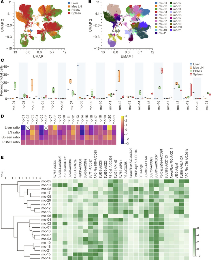 JCI Insight - Cellular immunophenotyping in human and primate tissues ...