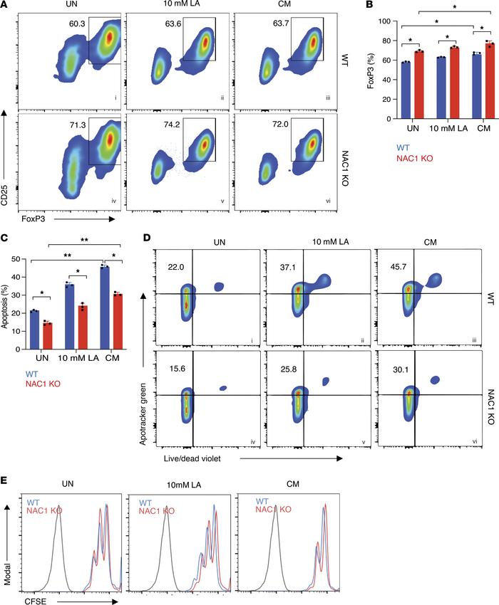 JCI Insight - Metabolic fitness of NAC1-deficient Tregs in the tumor ...