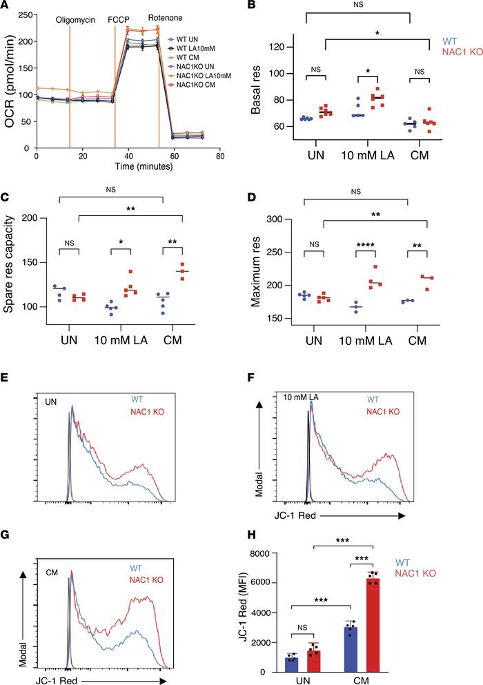 JCI Insight - Metabolic fitness of NAC1-deficient Tregs in the tumor ...
