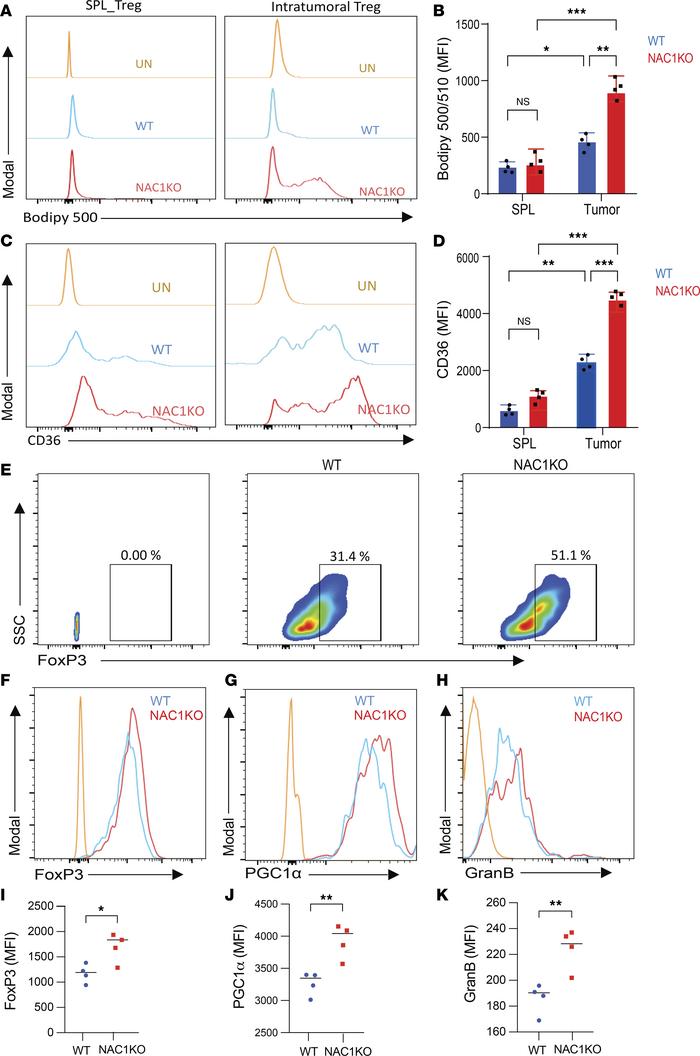JCI Insight - Metabolic fitness of NAC1-deficient Tregs in the tumor ...