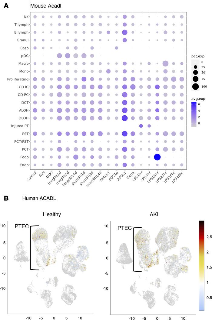 JCI Insight - Loss of long-chain acyl-CoA dehydrogenase protects ...