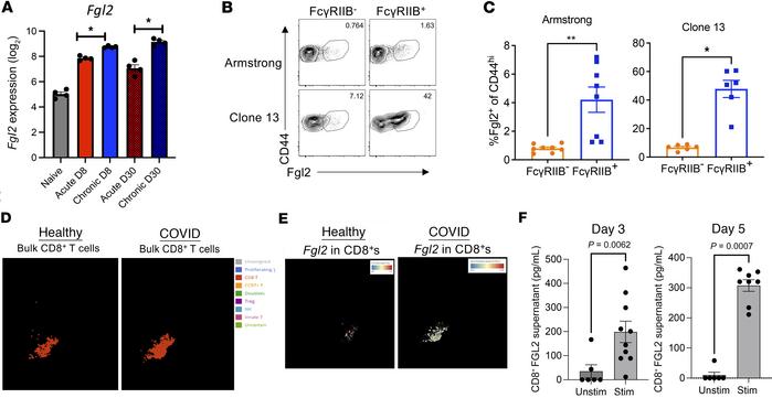 JCI Insight - Fgl2 regulates FcγRIIB+CD8+ T cell responses during infection