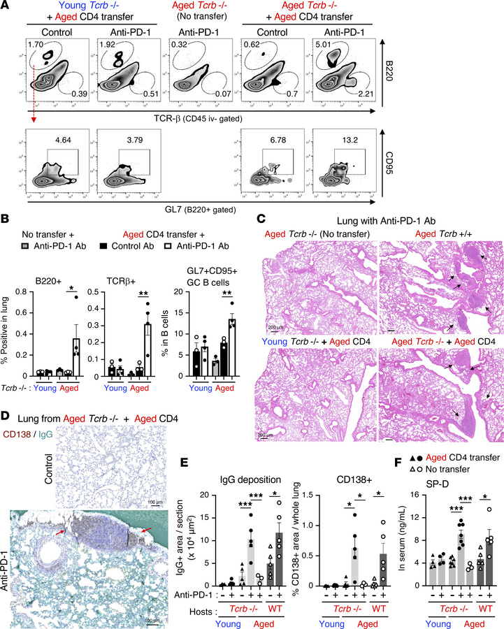 JCI Insight - ICOS+CD4+ T cells define a high susceptibility to anti–PD ...