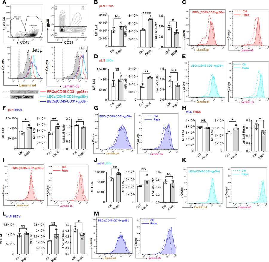 JCI Insight - Rapamycin immunomodulation utilizes time-dependent ...