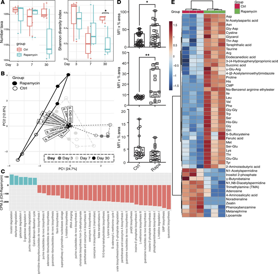 JCI Insight - Rapamycin immunomodulation utilizes time-dependent ...