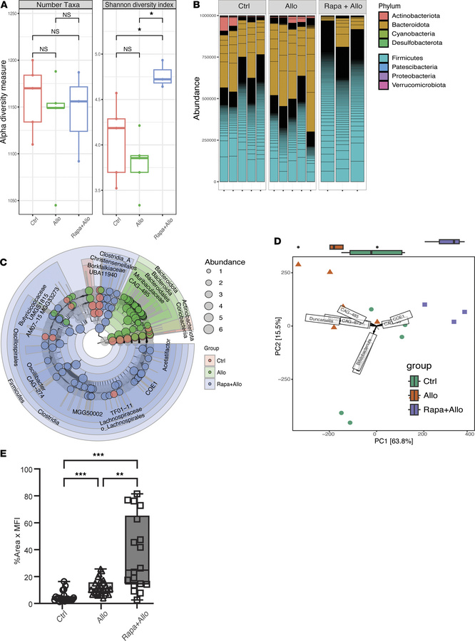 JCI Insight - Rapamycin immunomodulation utilizes time-dependent ...
