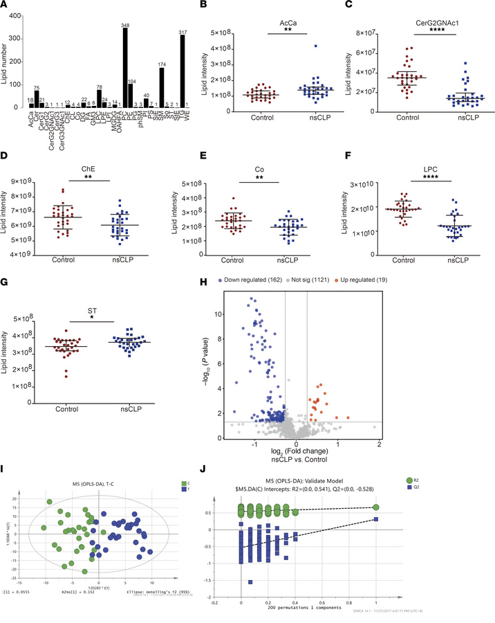 JCI Insight - Combining lipidomics and machine learning to identify ...
